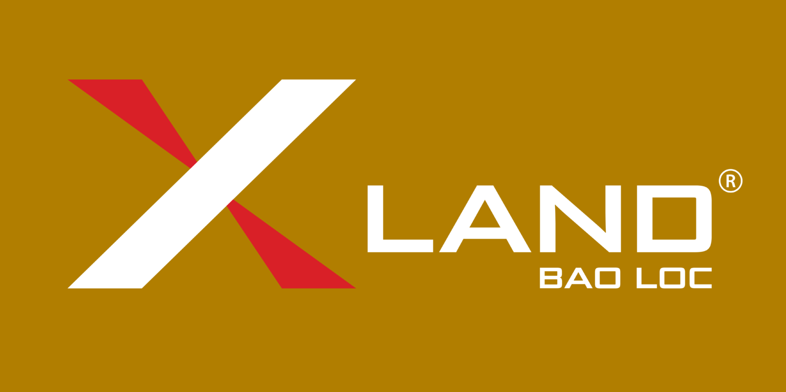 Giới Thiệu Về Công Ty Tnhh Đầu Tư X Land - EMA GROUP