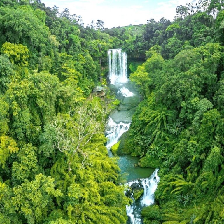 Trang chủ - EMA GROUP